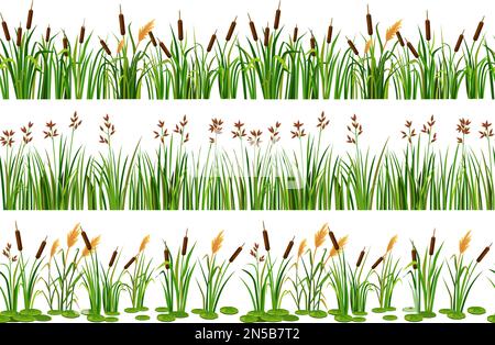 Lake aquatic plant borders. Seamless swamp cattails, marsh reed and ...