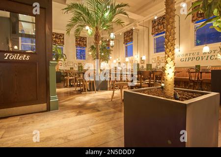 The Botanist restaurant interior at night in Ipswich, UK Stock Photo ...