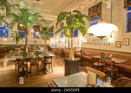 The Botanist restaurant interior at night in Ipswich, UK Stock Photo ...