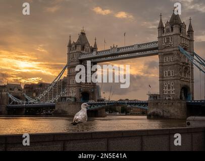 A scenic shot of the Tower Bridge across the River Thames in London ...