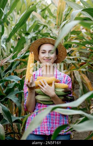 Female farmer with ripe corn cobs in field Stock Photo - Alamy