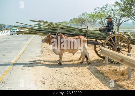 Traditional two-wheeled ox carts belong to the cultural heritage of ...