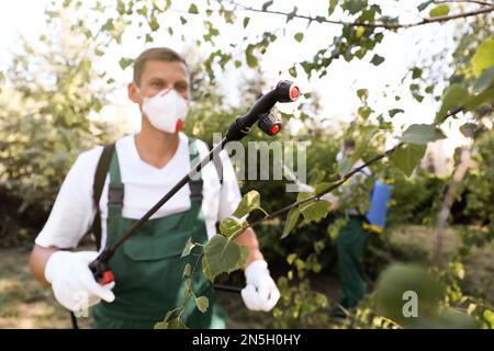 Workers spraying pesticide onto tree outdoors. Pest control Stock Photo ...