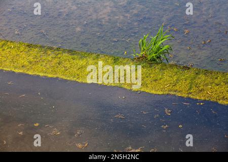 Little dam at a mill race Stock Photo - Alamy
