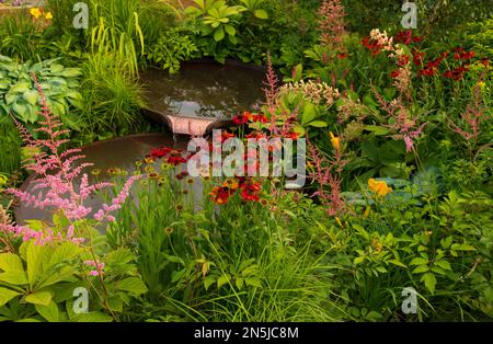 Marginal plants around two circular water features in the RHS Planet ...