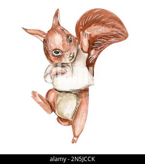 Hand drawn watercolor squirrel. Watercolor hand draw fairy tale ...