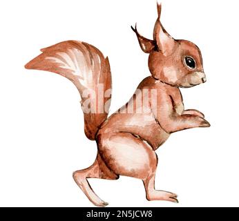Hand drawn watercolor squirrel. Watercolor hand draw fairy tale ...