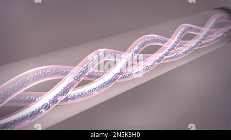 Collagen fibrils structure 3D rendered illustrations Stock Photo - Alamy