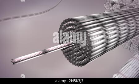 Collagen triple-helical molecule structure. 3D render Stock Photo - Alamy