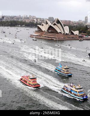 Annual Australia Day Ferry Boat Race - Ferrython, Sydney Harbour ...