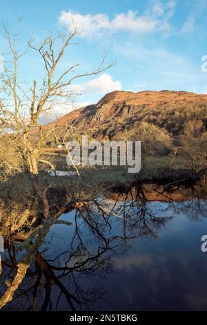 Craigmore, Aberfoyle, Trossachs, Scotland Stock Photo - Alamy