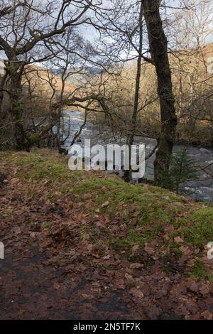 The River Leny. (aka Garbh Uisge) from the west bank where the Rob Roy ...