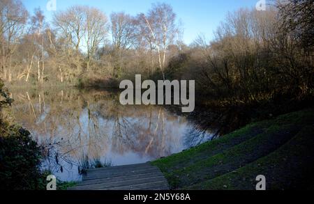 WW1 mine crater Pool of Peace / Lone Tree Crater / Spanbroekmolenkrater ...