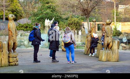 Carved wooden meerkat statues Edinburgh zoo Stock Photo - Alamy