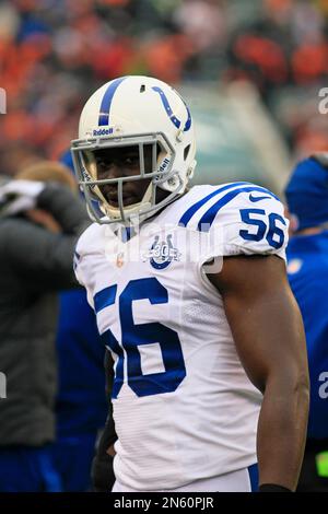Indianapolis Colts linebacker Daniel Adongo stands on the sidelines in ...