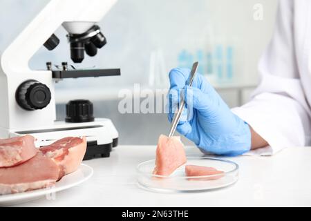 Scientist with raw meat at table in laboratory, closeup. Poison ...
