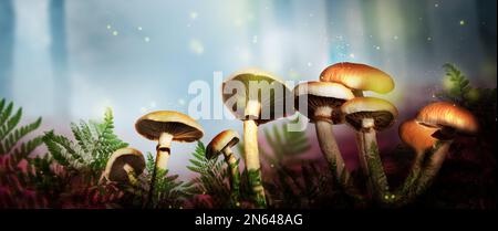 Fantasy world. Mushrooms with magic lights in enchanted forest, banner ...