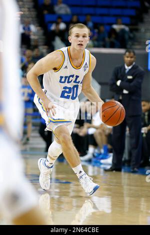 UCLA's Bryce Alford dribbles the ball against Morehead State during a ...