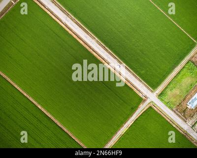Rice field, checkerboard pattern, Drone aerial, Yokote city, Akita ...
