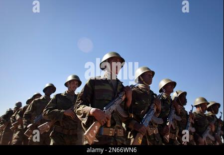 The flag of Morocco, Algeria and the Polisario. Moroccan Sahara ...