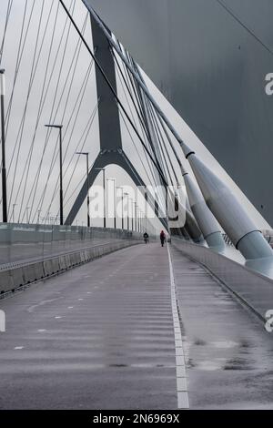A grayscale of people walking in the New York city Stock Photo - Alamy