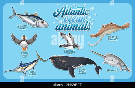 Atlantic stingray cartoon character set illustration Stock Vector Image ...