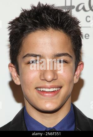 Actor Aramis Knight arrives at the 3rd Annual American Humane ...