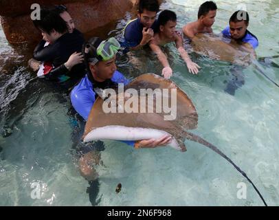 Filipino disabled children are helped by trainers to touch and feel a ...