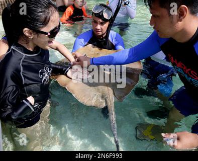 Filipino disabled children are helped by trainers to touch and feel a ...