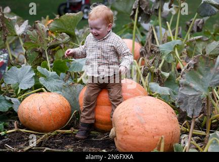 Son of a Kew Gardens employee Teddy Darby, one and half year old, plays ...