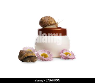 Snails, jar with cream and flowers isolated on white Stock Photo - Alamy