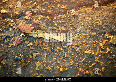 Pieces of paint lie on asphalt. Texture of colored dirt. Small dust ...