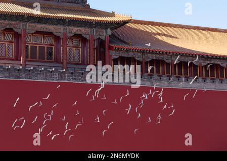 The Forbidden City was the political and ritual center of China for ...