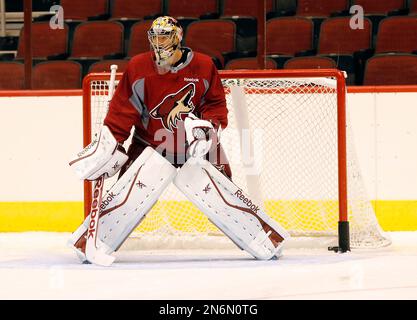 Phoenix Coyotes goalie Mike Smith (41) shops a shot during the first ...