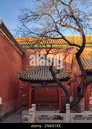 The Forbidden City was the political and ritual center of China for ...