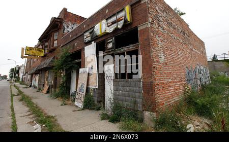 Detroit, Michigan - Abandoned buildings and vacant lots characterize ...