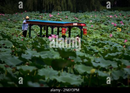 Purple Bamboo Park is one of the seven largest parks in Beijing ...