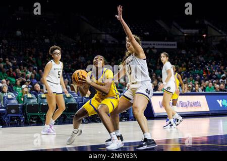 February 09, 2023: Pittsburgh forward Amber Brown (5) battles for the ...
