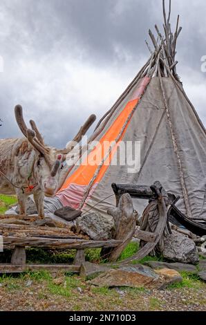 Sami People, Norway Stock Photo - Alamy