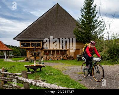 Bike tour with the Gravelbike in the Black Forest Stock Photo - Alamy