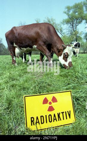 German Health autorities warned farmers to keep cattle inside after ...