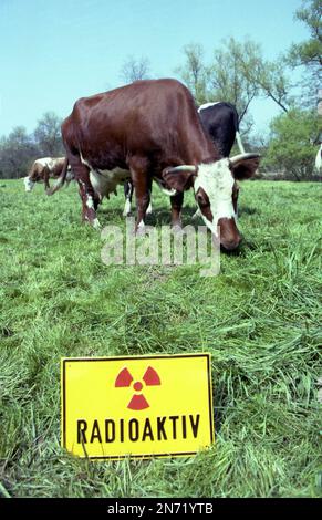 German Health autorities warned farmers to keep cattle inside after ...