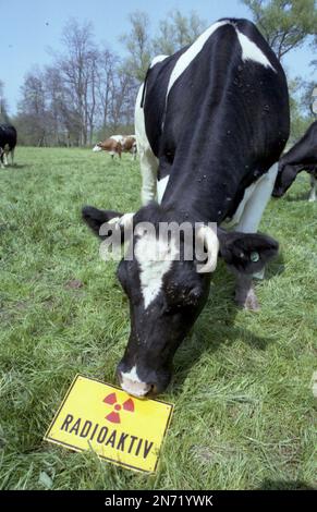 German Health autorities warned farmers to keep cattle inside after ...