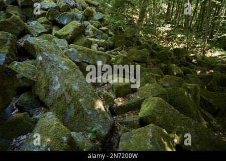 Basalt columns in the Gangolfsberg nature reserve in the core zone of ...