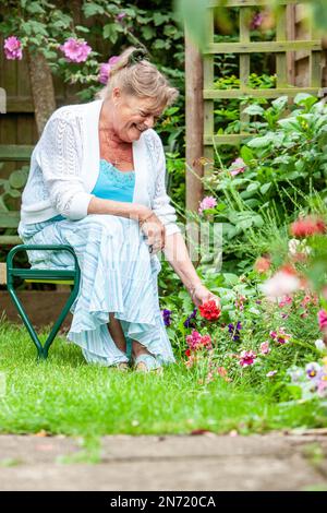 Beautiful flowers from my garden. A series of beautiful garden photos ...