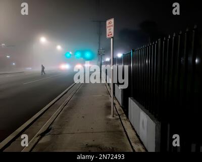 Foggy morning in Miami, Florida, USA Stock Photo - Alamy