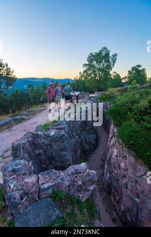 Vosges (Vogesen) Mountains: Collet du Linge (Lingekopf). During World ...