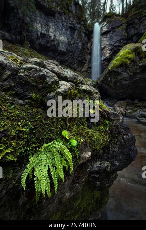 Sibli waterfall. Rottach-Egern, Bavaria, Germany Stock Photo - Alamy