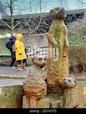 Carved wooden meerkat statues Edinburgh zoo Stock Photo - Alamy