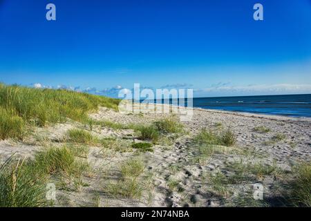 beach in demark Stock Photo - Alamy